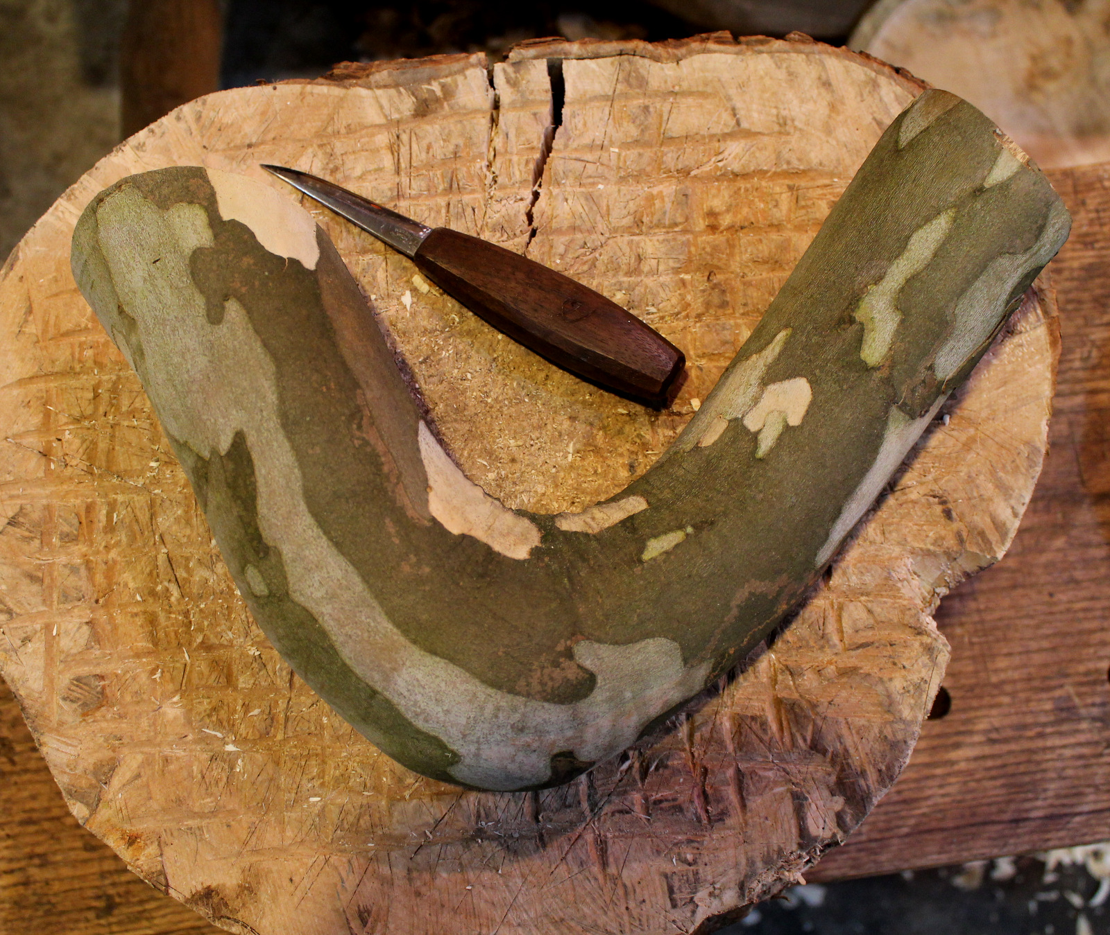 Finding the Spoon in the Crook | David Fisher, Carving Explorations