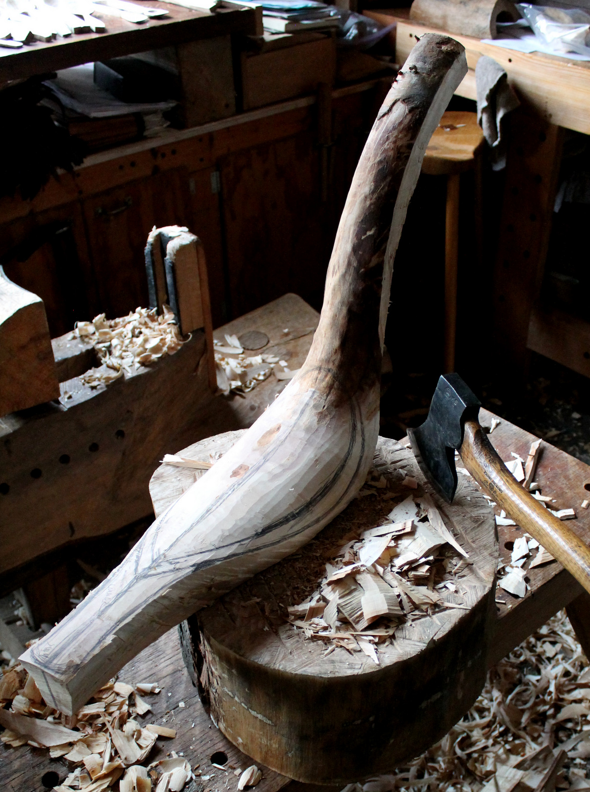 Every Goose a Swan | David Fisher, Carving Explorations