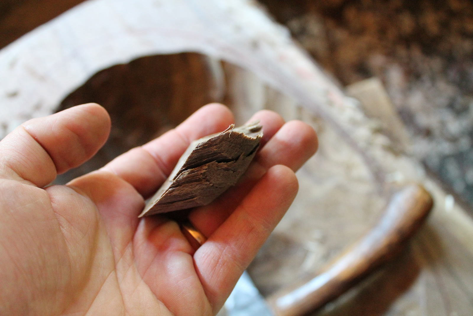 Chips | David Fisher, Carving Explorations