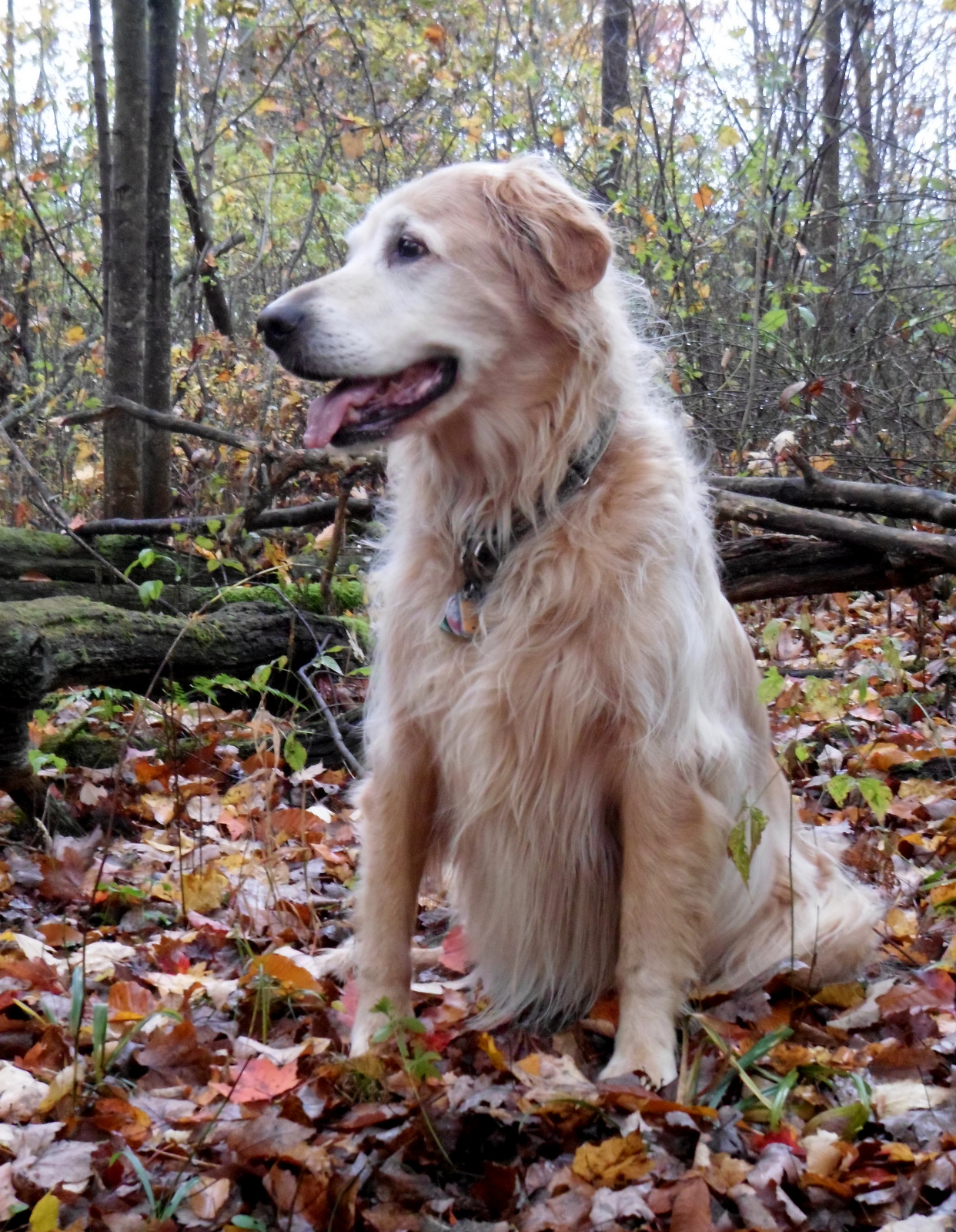 SAM_3760 | David Fisher, Carving Explorations