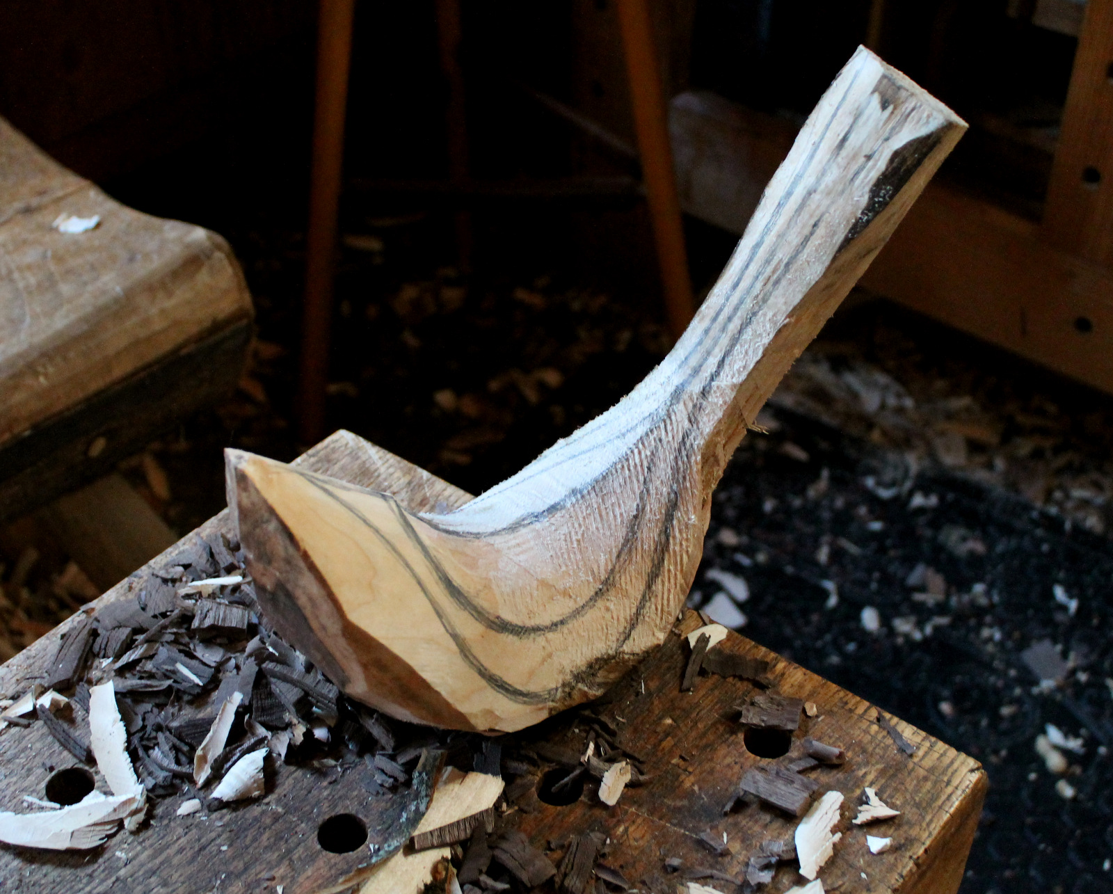 Thankful for Birds and Trees | David Fisher, Carving Explorations