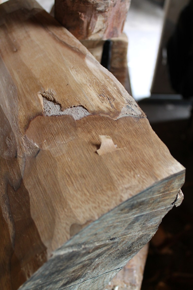 Carving American Chestnut | David Fisher, Carving Explorations