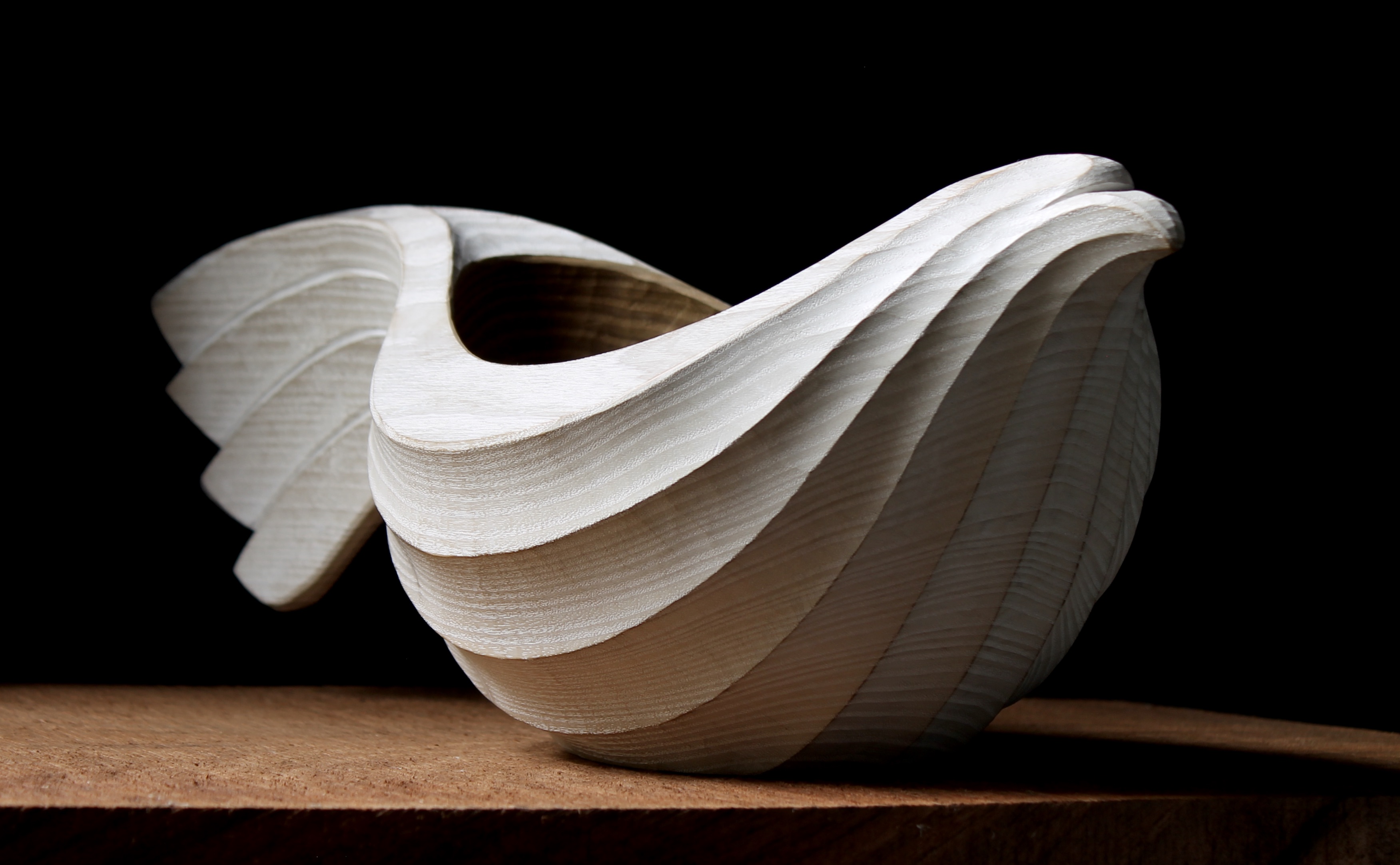 Bowl Gallery | David Fisher, Carving Explorations