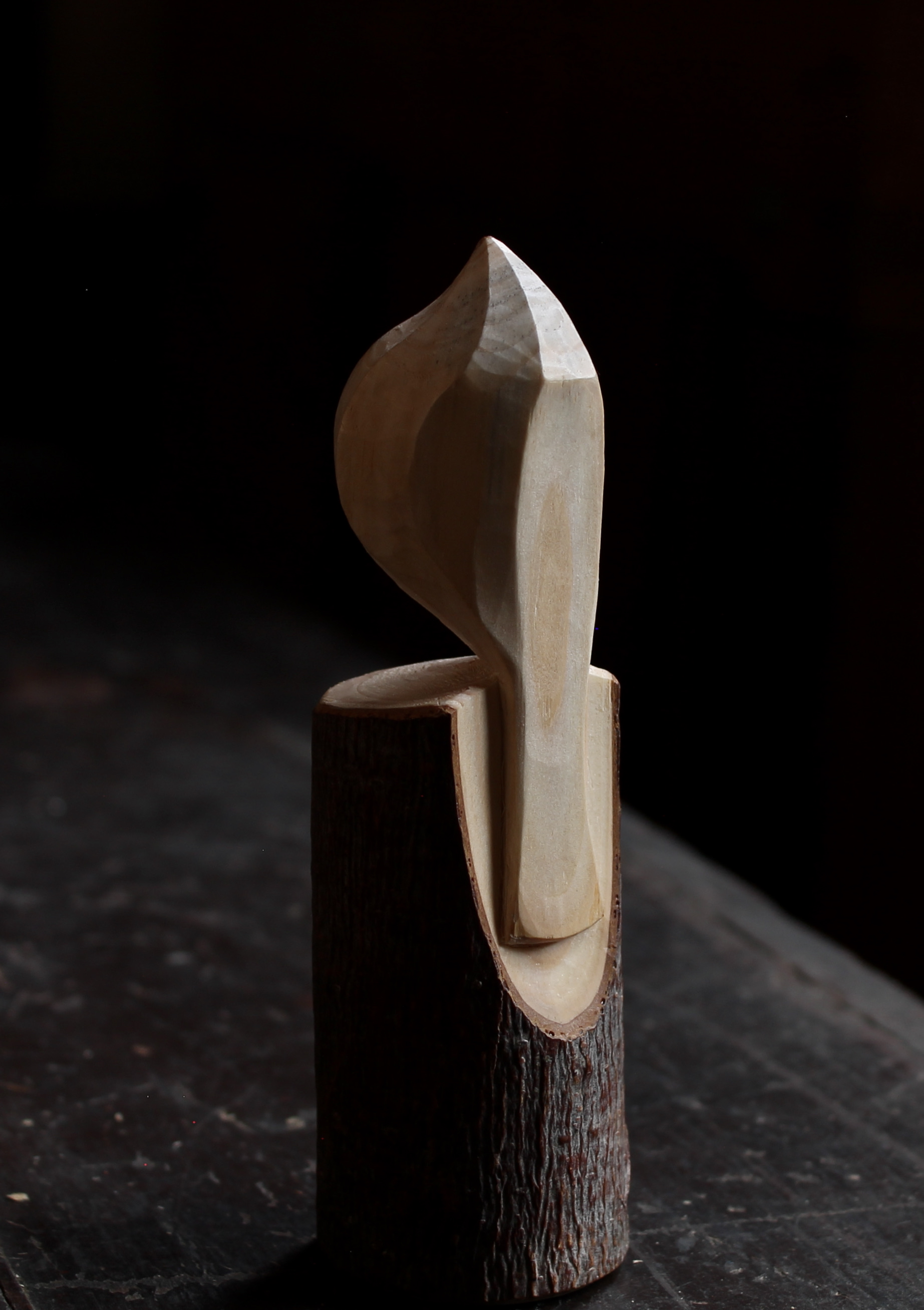 Winter Whittled Bird | David Fisher, Carving Explorations