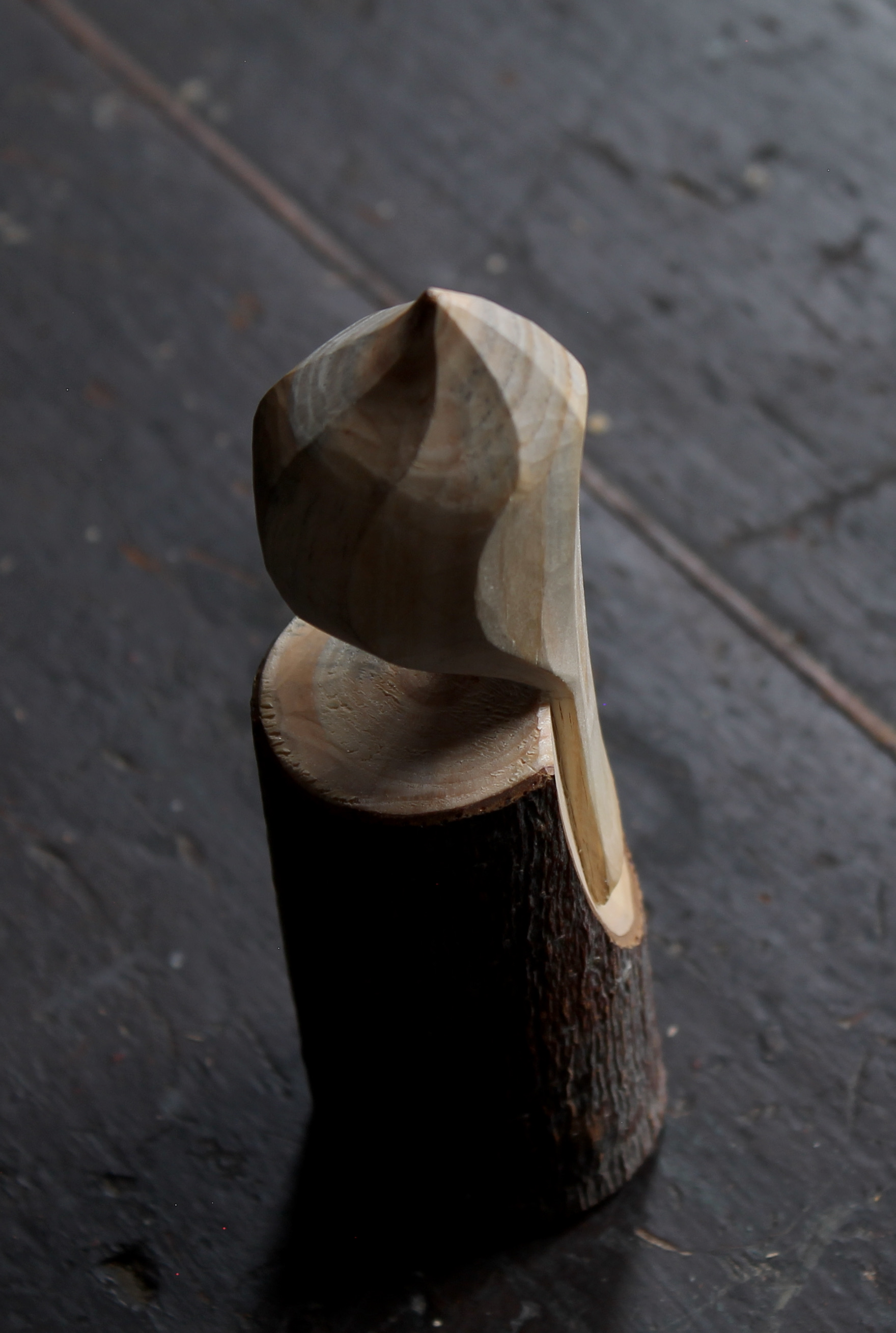 Winter Whittled Bird | David Fisher, Carving Explorations