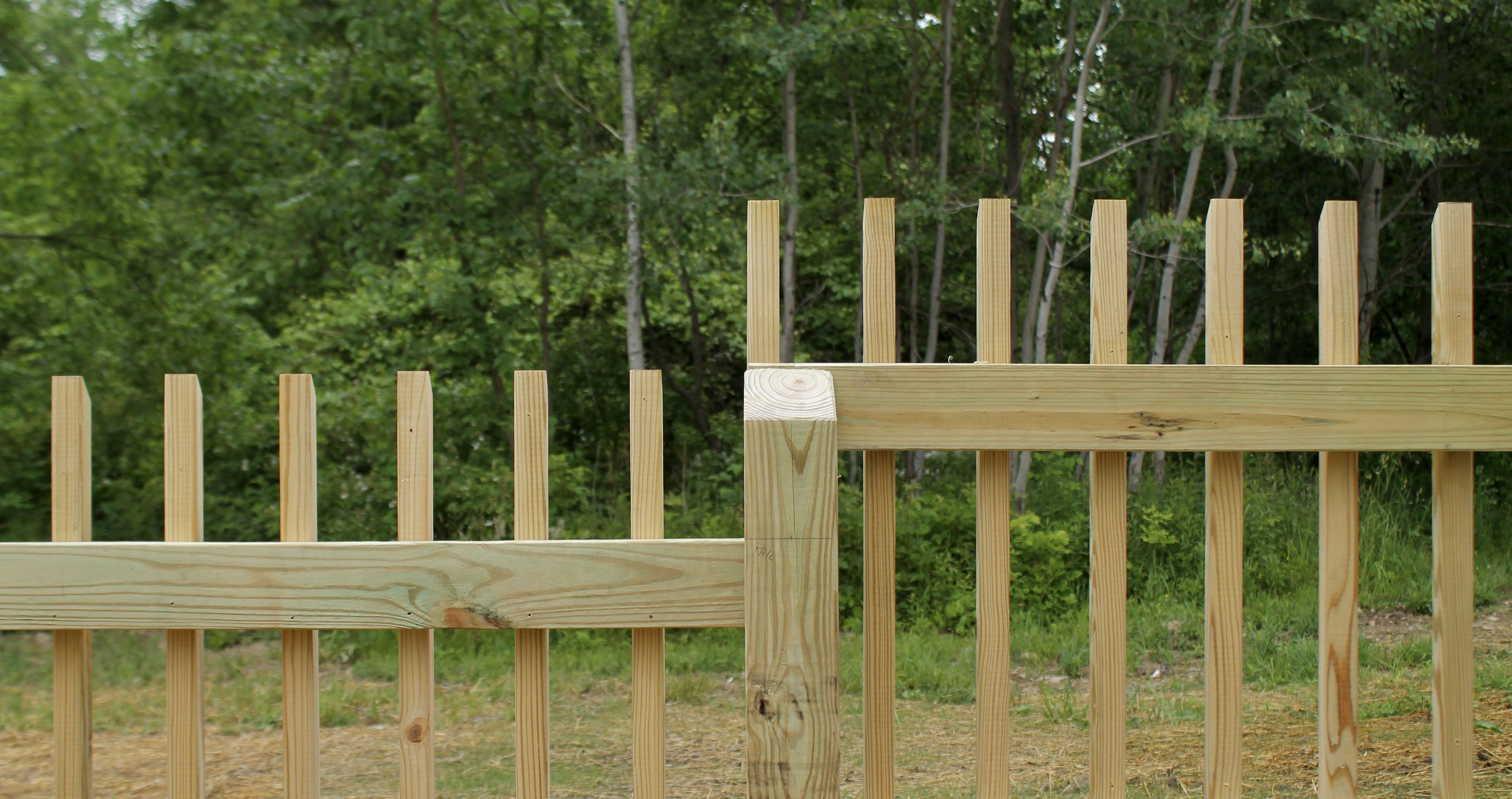 Blog | David Fisher, Carving Explorations | Page 7