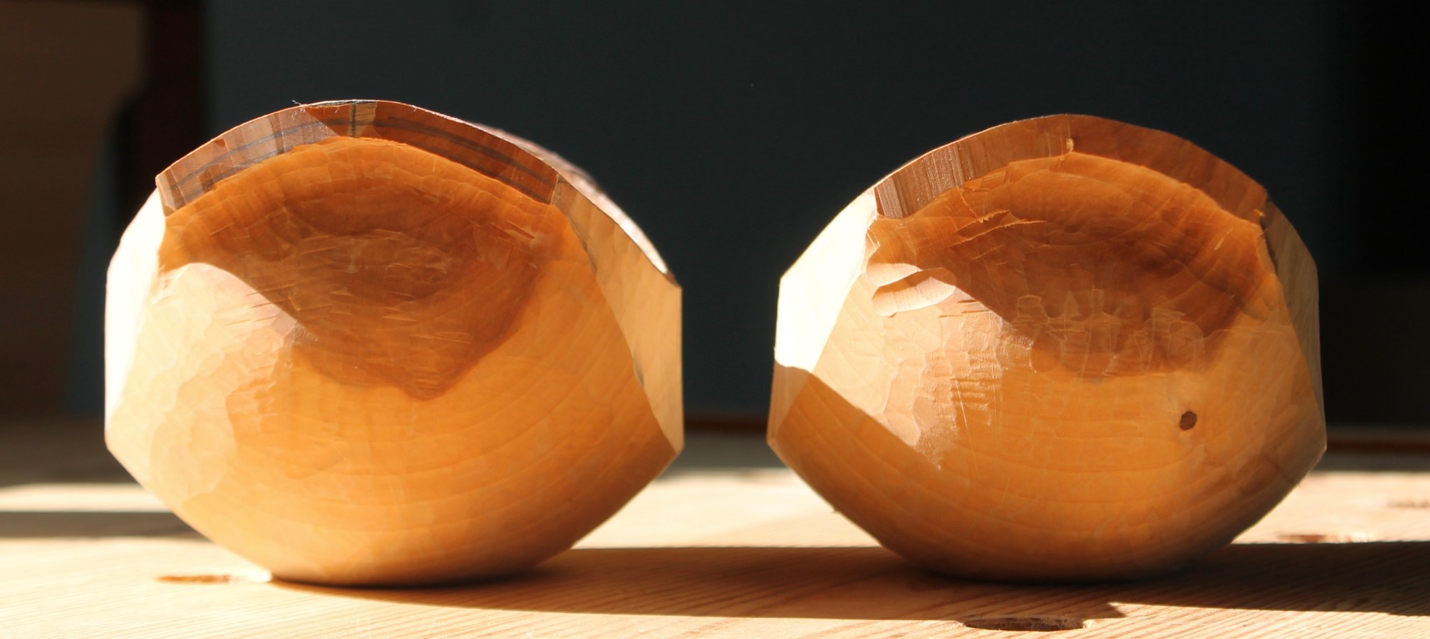 Blog | David Fisher, Carving Explorations | Page 4
