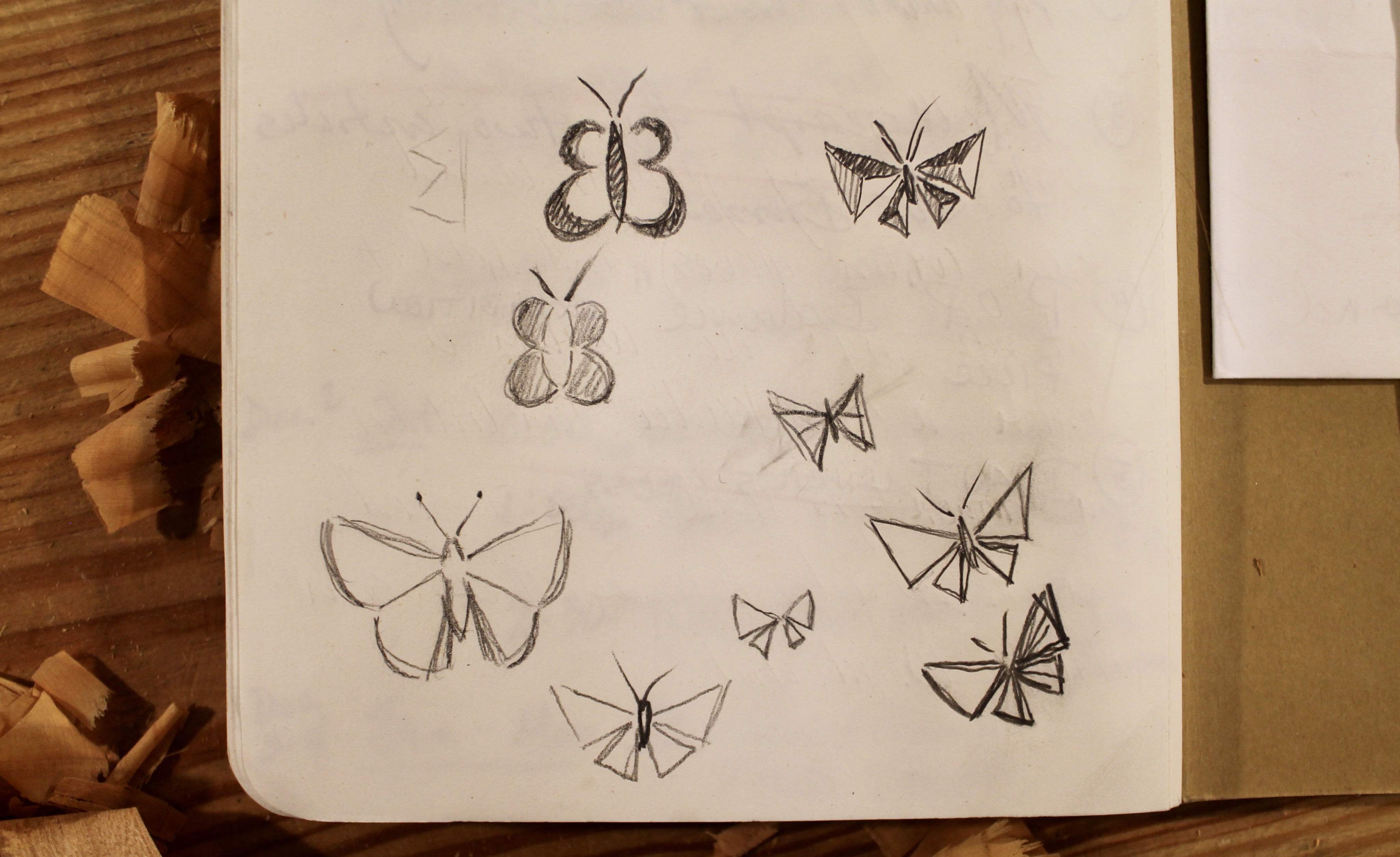 Butterfly Chips | David Fisher, Carving Explorations