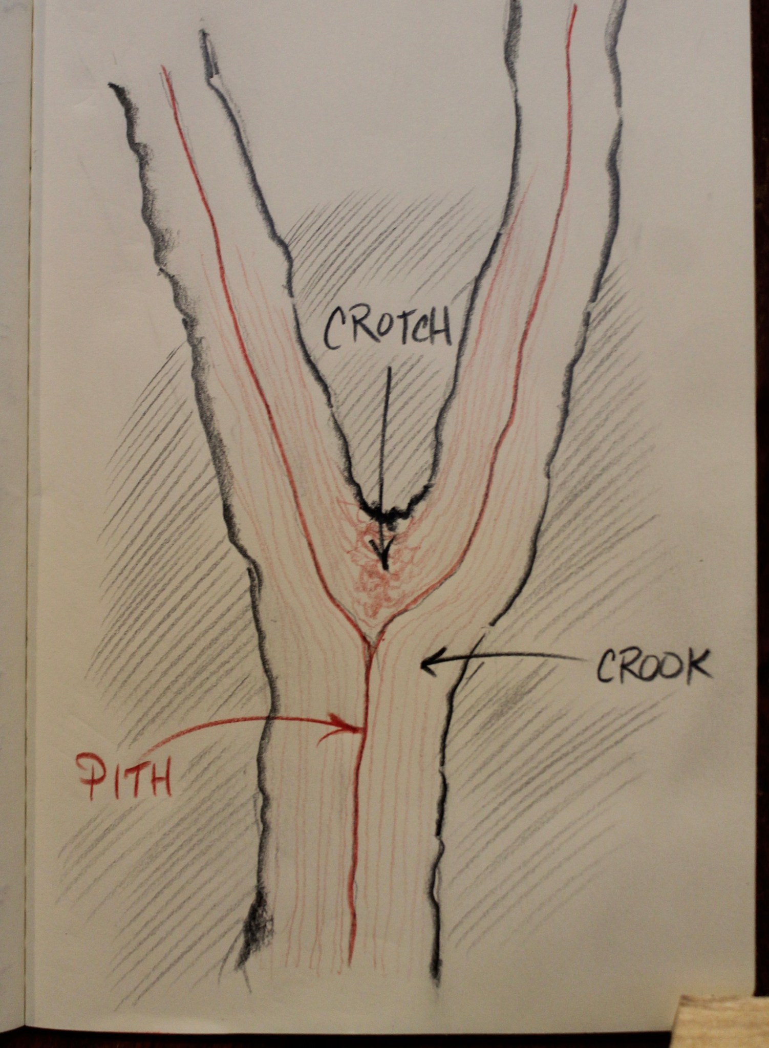 Blog | David Fisher, Carving Explorations | Page 3