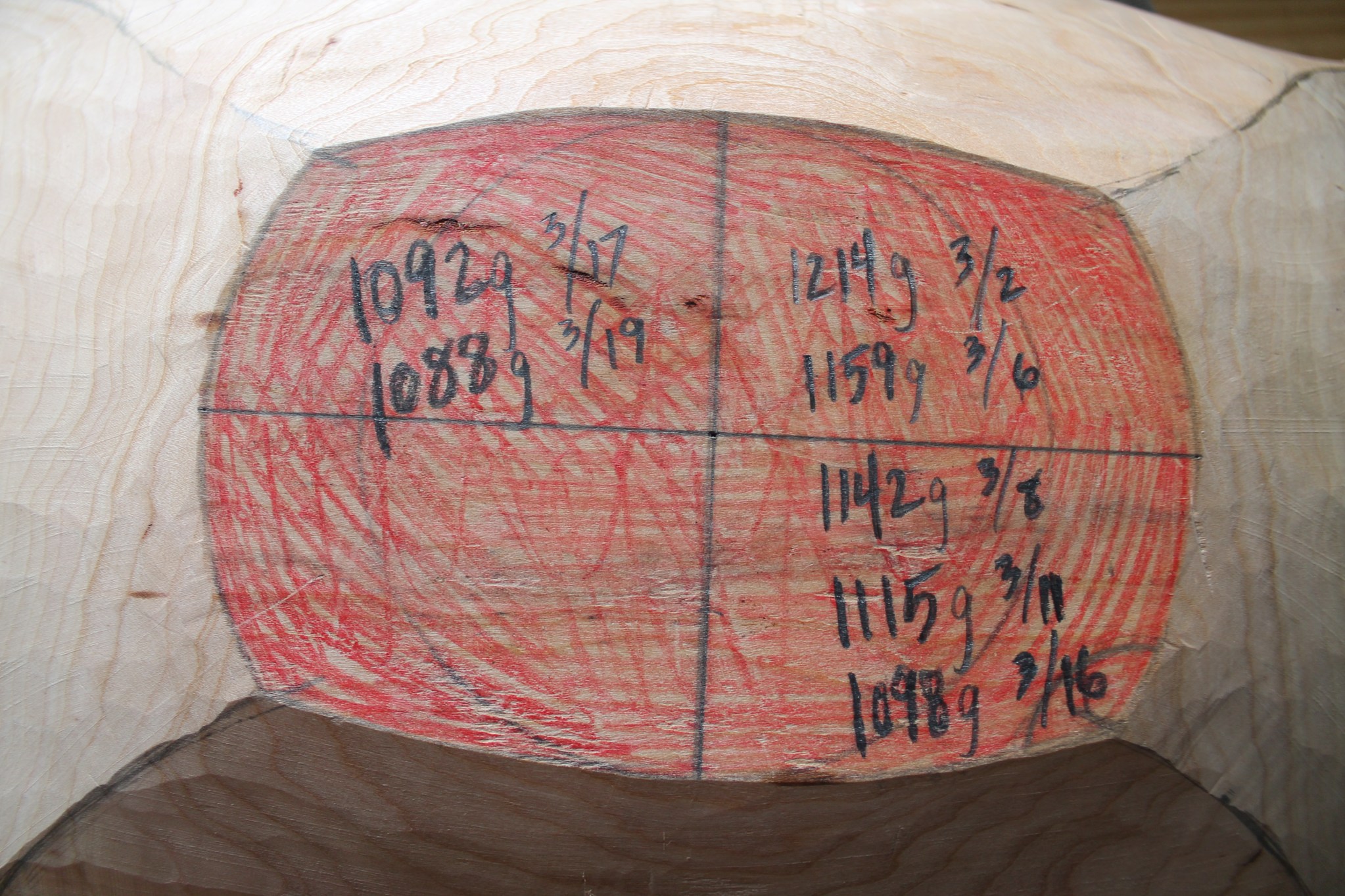 Blog | David Fisher, Carving Explorations