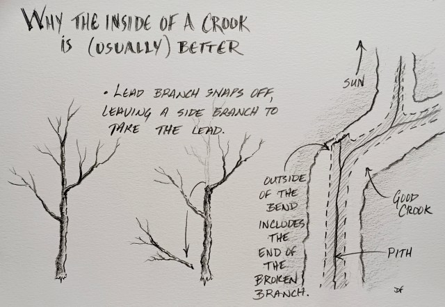 Blog | David Fisher, Carving Explorations