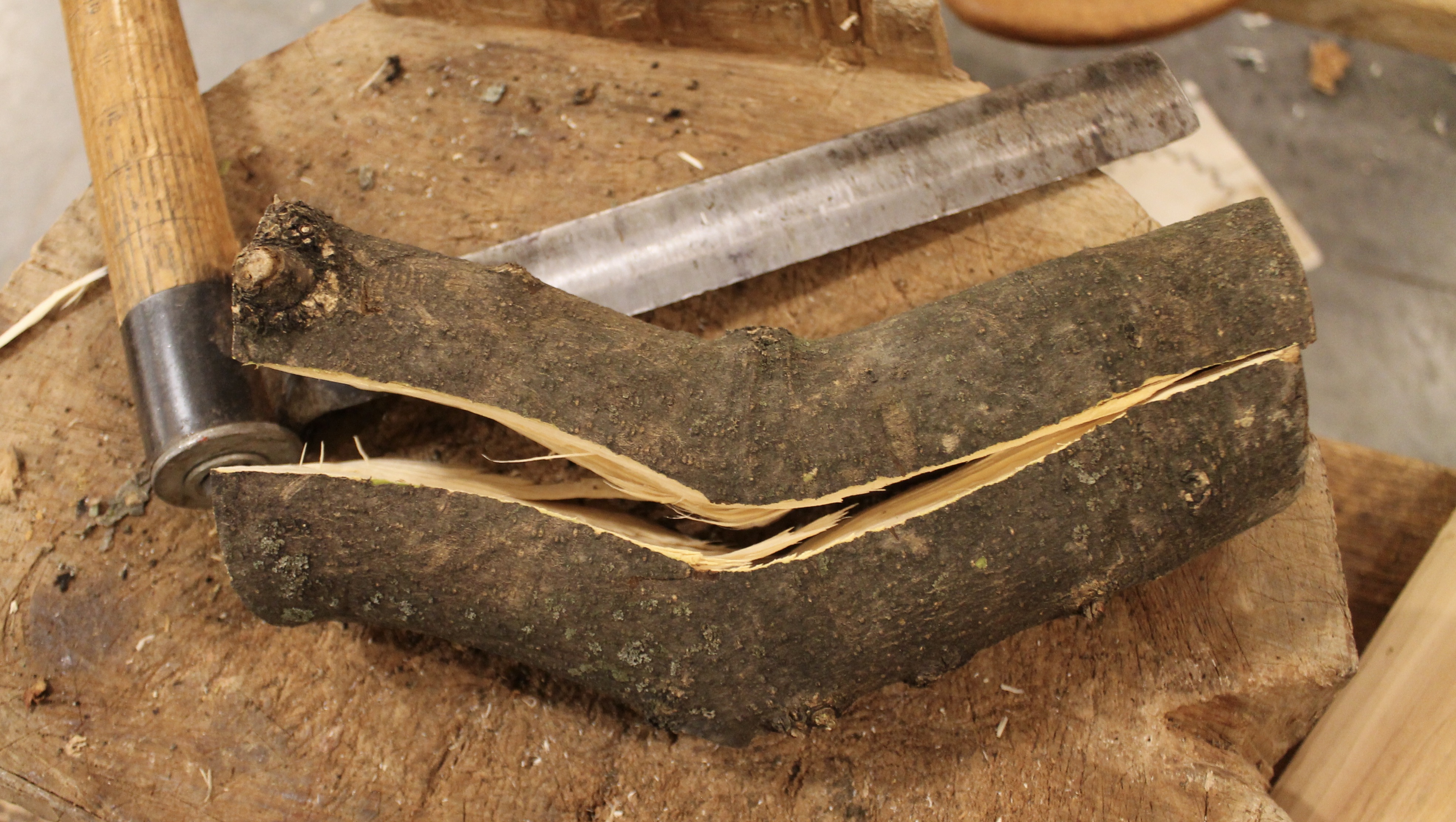 Branch Crook Choices | David Fisher, Carving Explorations