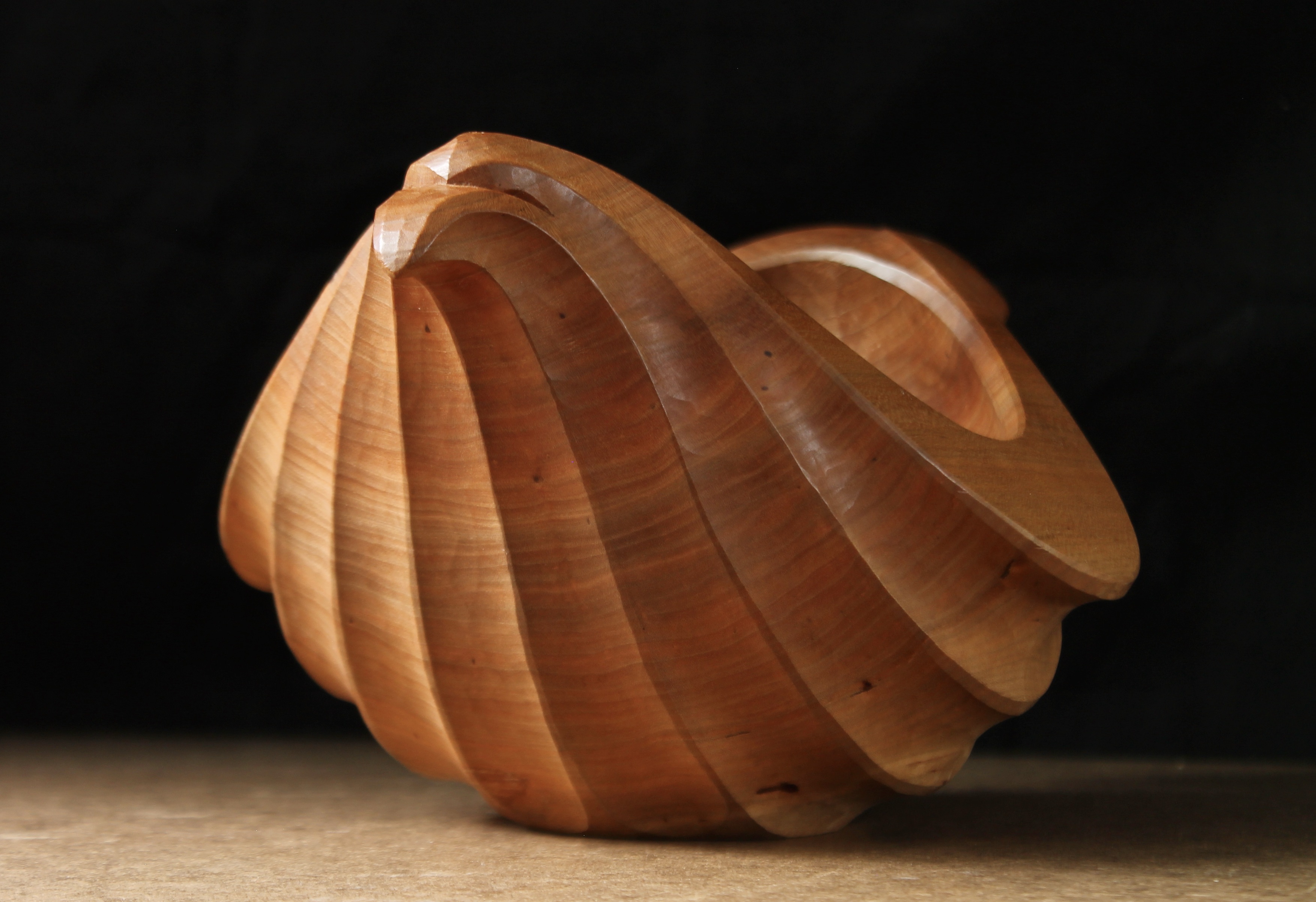 Blog | David Fisher, Carving Explorations