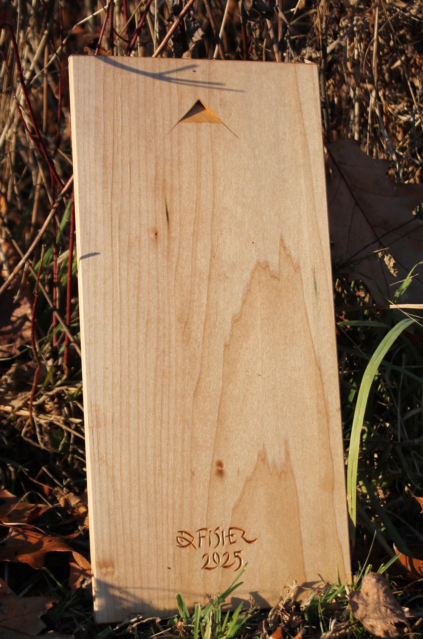 Blog | David Fisher, Carving Explorations | Page 2