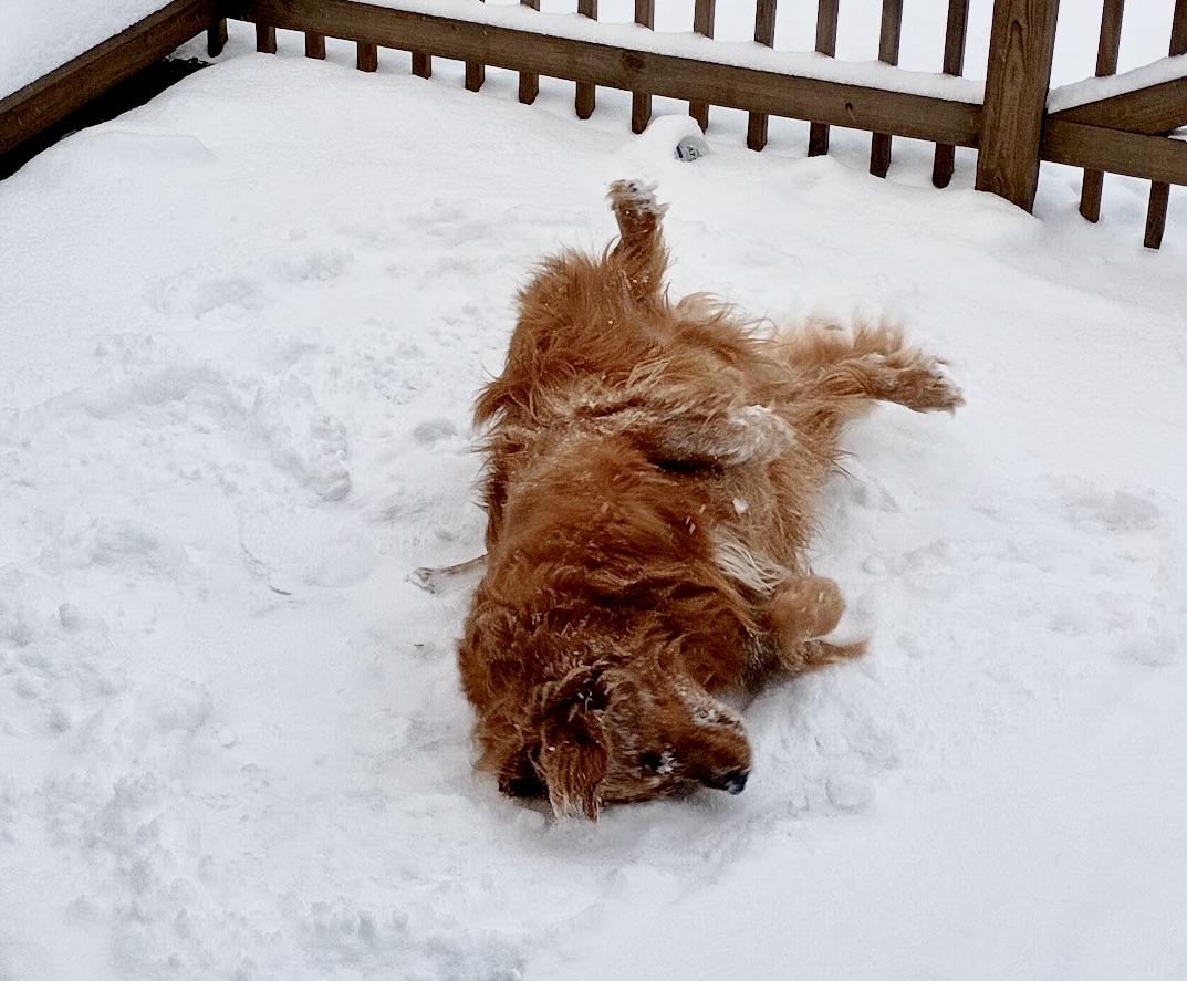 Hal Borland on Snow | David Fisher, Carving Explorations